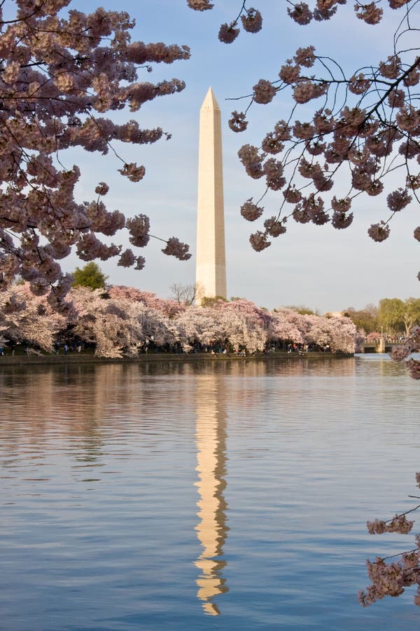 Washington DC in Spring stock image. Image of river - 110540983