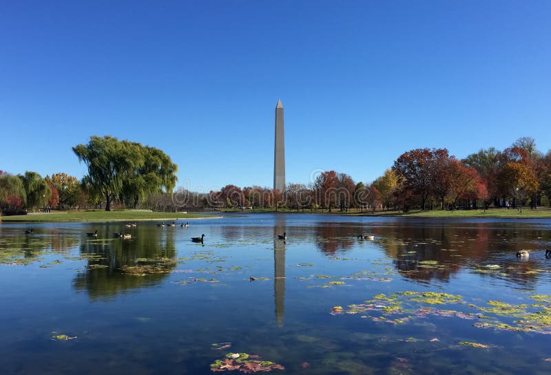 Washington Monument with Reflection on Lake Stock Image - Image of ...