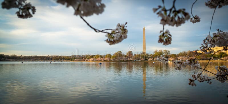 Washington Monument, in Spring Stock Photo - Image of tourism, columbia ...