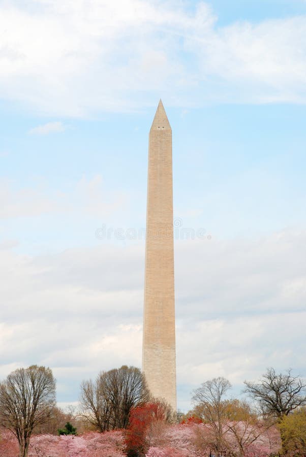 Washington Monument in the Spring Stock Image - Image of pink ...
