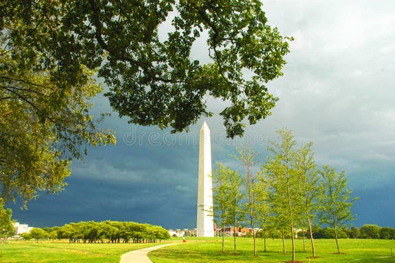 Washington Monument stock photo. Image of woodland, leaf - 237962110