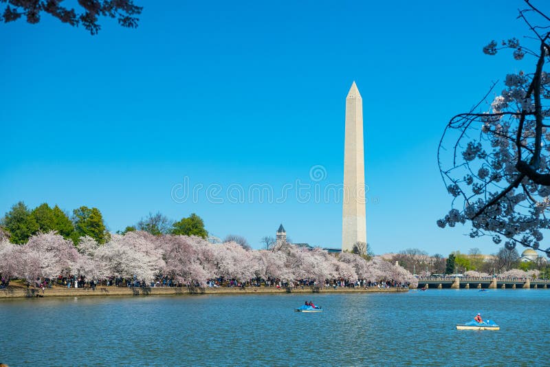 Washington Monument, Tidal Basin and Cherry Blossom Trees in Spring ...