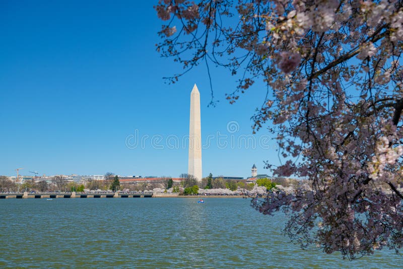 Washington Monument, Tidal Basin and Cherry Blossom Trees in Spring ...