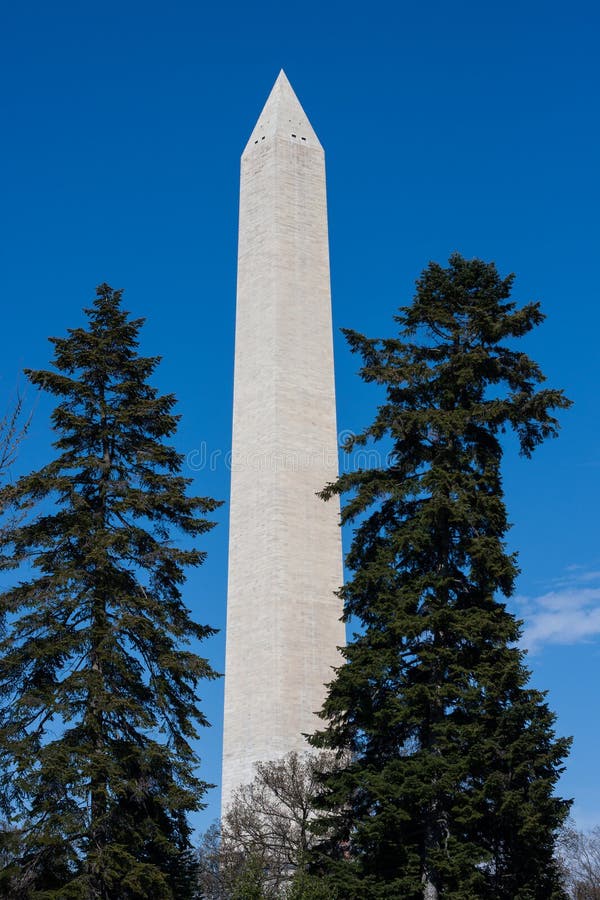 Washington Monument between Two Trees Stock Photo - Image of obelisk ...