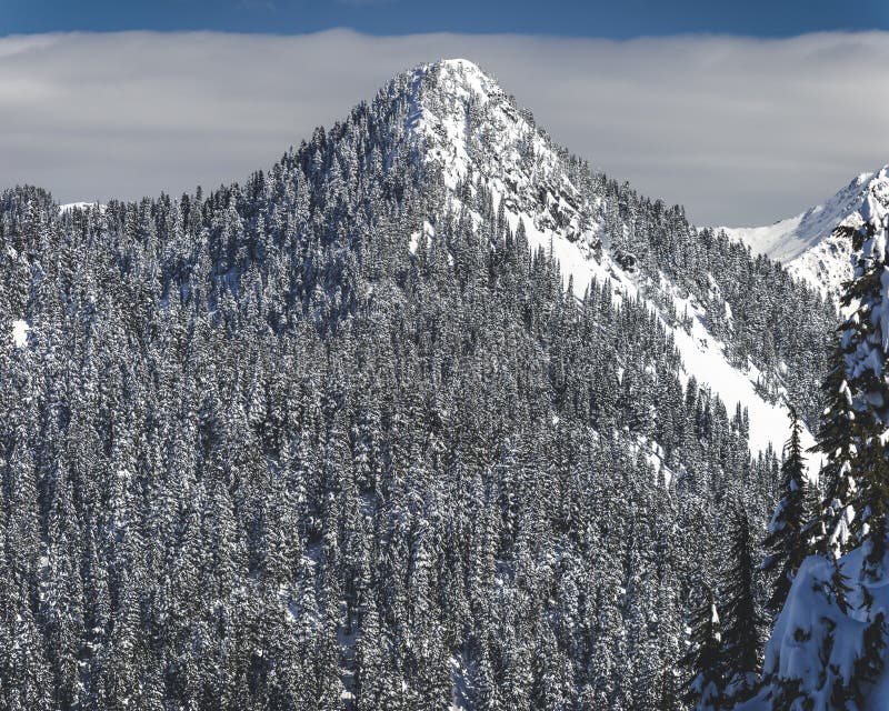Washington Mountain Peak Covered in Thick Forest Trees and Snow Stock ...