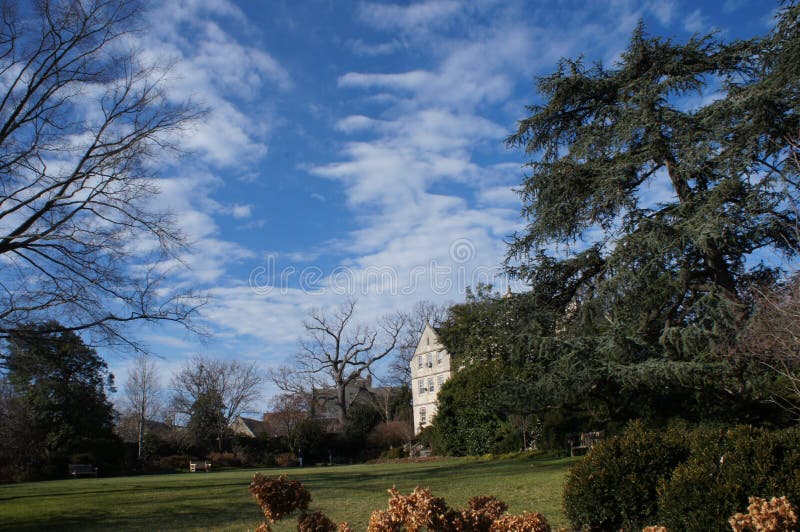 Washington National Cathedral Stock Photo - Image of blue, washington ...
