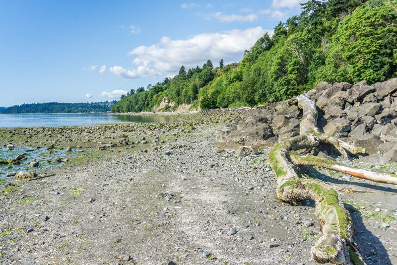 Washington Park Shoreline 2 Stock Photo - Image of park, tide: 155235356