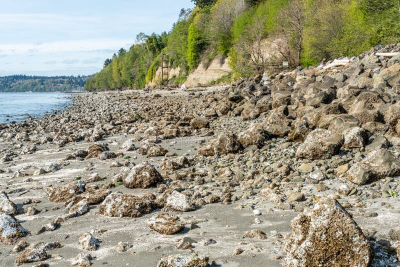 Washington Park Shoreline 11 Stock Image - Image of state, rocks: 277640359