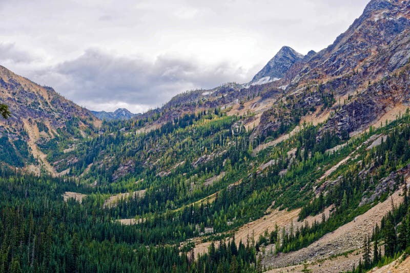 Blue Heath Flowers with the Mountains and Austin Pass Lake Stock Photo ...