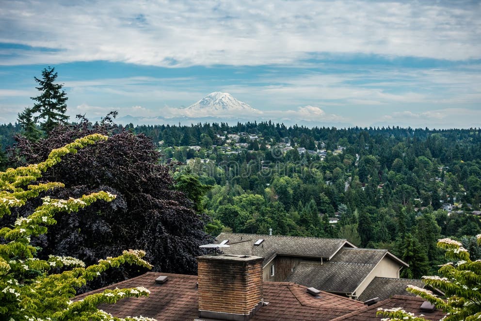 Washington Peak 2 stock photo. Image of mount, mountain - 95308348