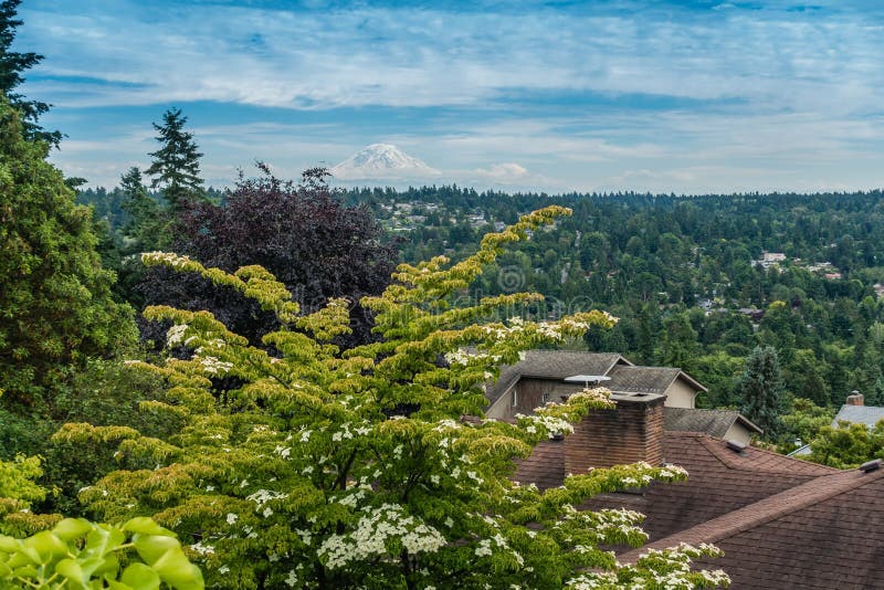 Washington Peak 4 stock photo. Image of state, peak, mountain - 95519824