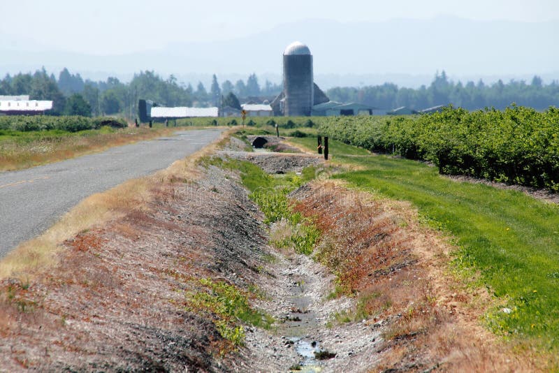 Washington Rural Ditch foto de archivo. Imagen de fruta - 54780344