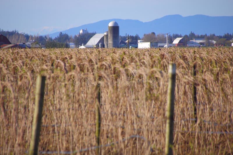 Washington Rural Farm Land stock photo. Image of america - 68496658
