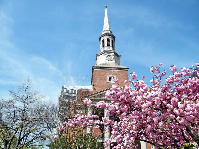 Sakura in front of Castle stock image. Image of castle - 144498979
