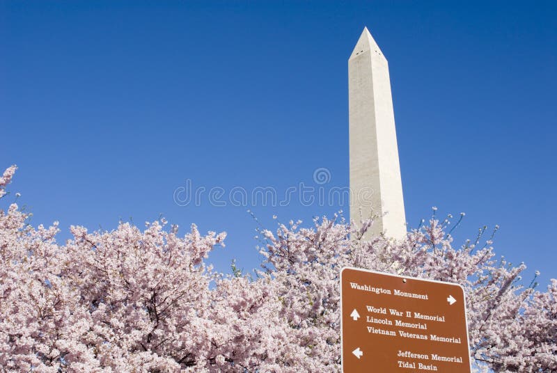 Washington Monument Behind the Cherry Blossoms Stock Image - Image of ...