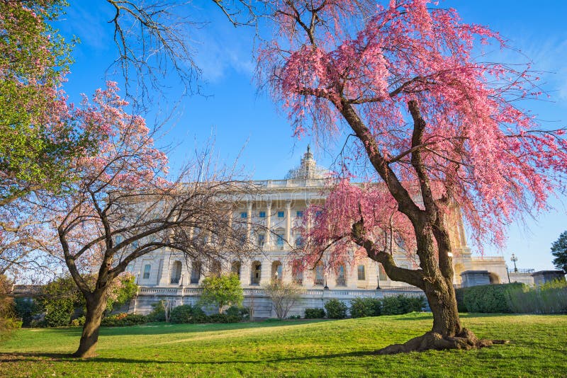 Washington DC in Spring stock image. Image of river - 110540983