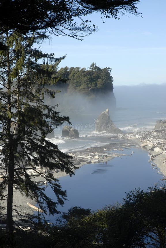 Washington State coast stock image. Image of washington - 7716341
