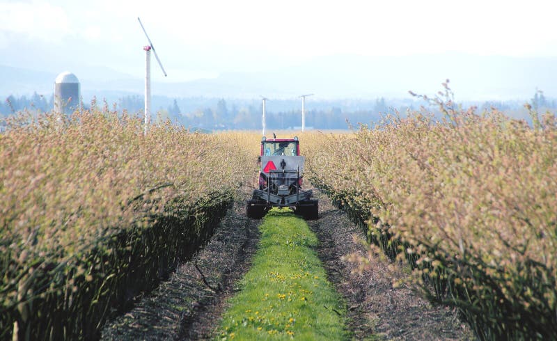 Washington State Farming stock image. Image of acre, building - 28531717