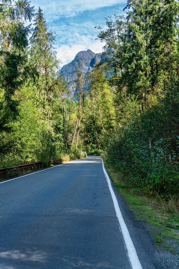 Washington State Highway 4 stock photo. Image of washington - 337712726