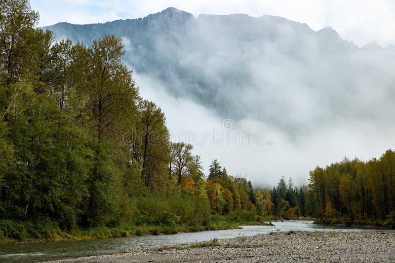 Washington State River Flowing Under a Forest Filled with Fall Colored ...