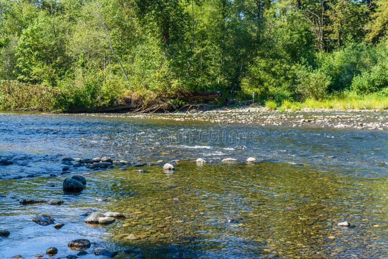Washington State River stock image. Image of outdoors - 255155403