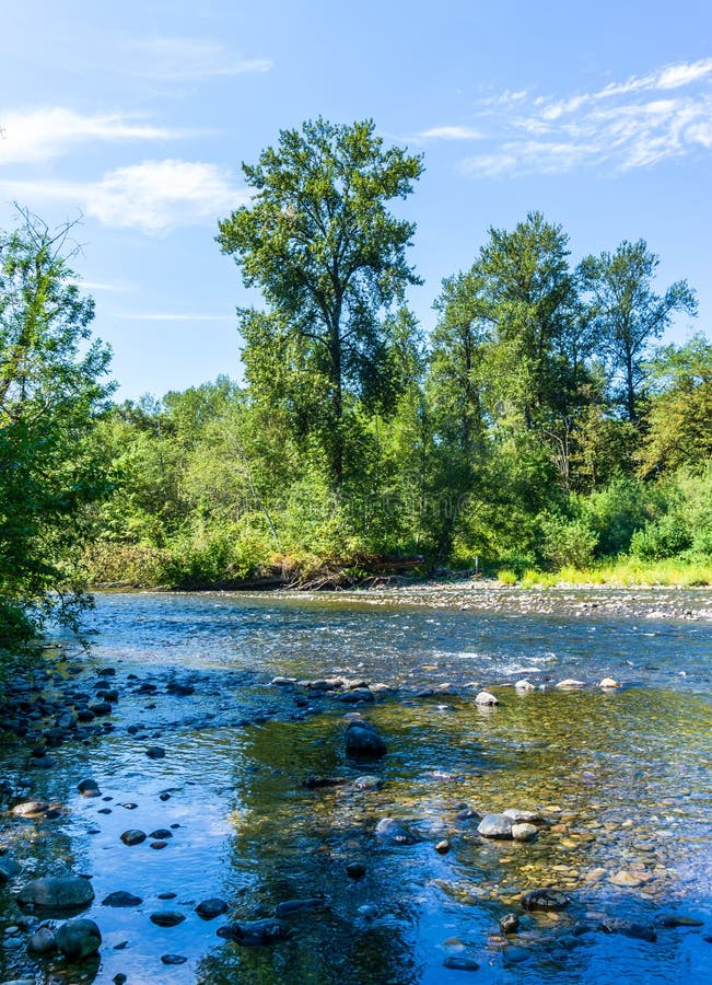 Washington State River 3 stock image. Image of trees - 257459141