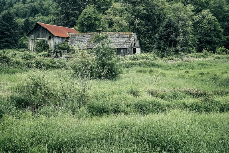 Washington State - Puget Island Farm Stock Image - Image of barn ...