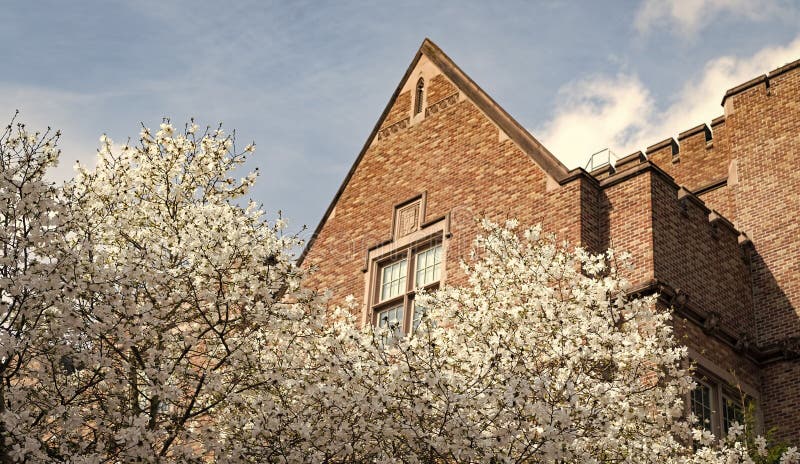 Washington University Building in Seattle. Sunny Day with Spring ...