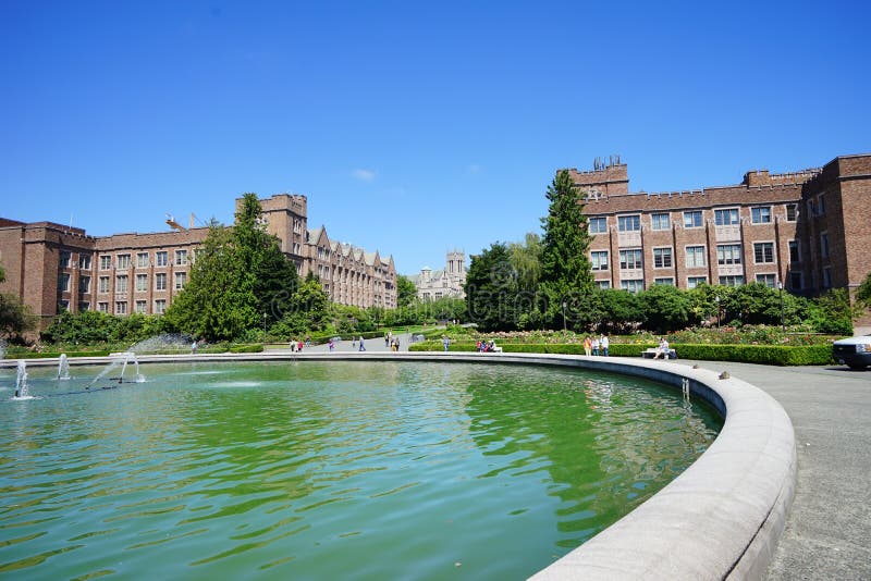 Washington University Seattle Stock Image - Image of pine, blossom ...