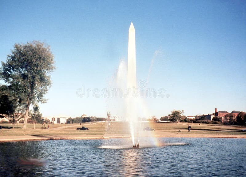 USA Flags stock photo. Image of city, american, high - 61220574