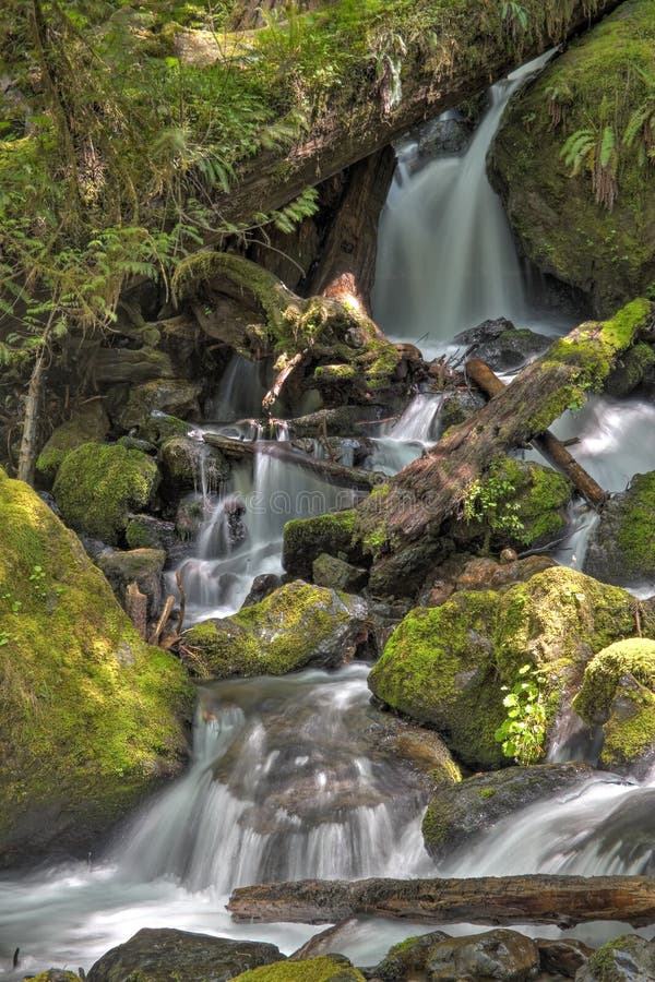 Washington Waterfall stock image. Image of rock, states - 36980007