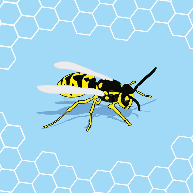 Nest Wasp Stock Illustrations – 1,503 Nest Wasp Stock Illustrations ...
