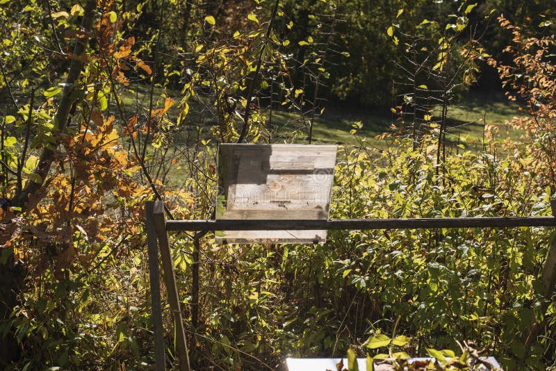 175 Entry Bee Hive Stock Photos - Free & Royalty-Free Stock Photos from ...