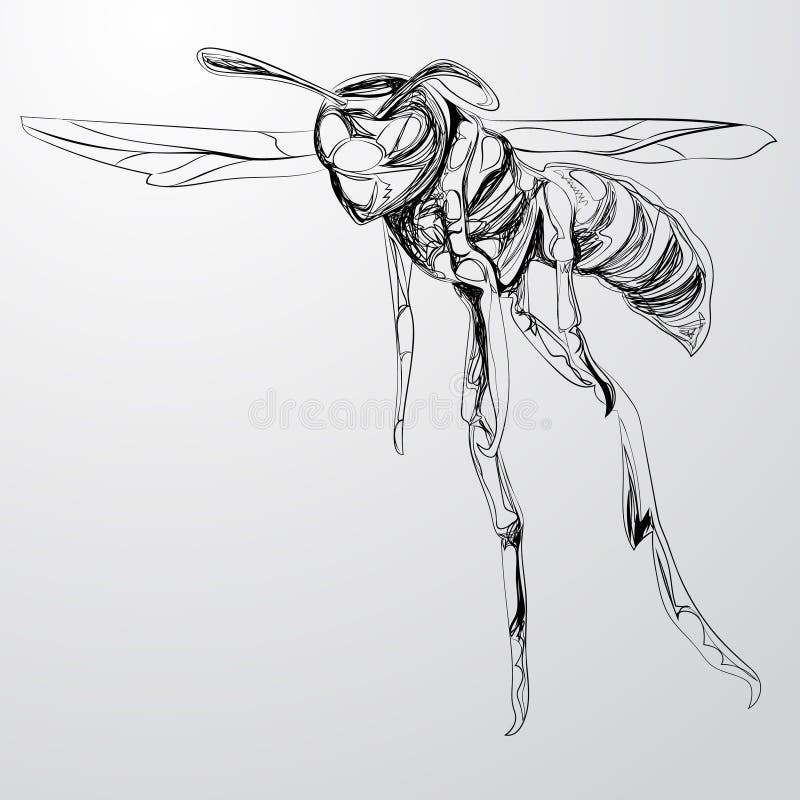 Wasp Flying Insect Top View Vector Illustration Stock Vector ...