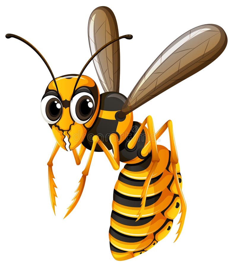 Wasp Flying On White Background Stock Vector - Illustration of animal ...