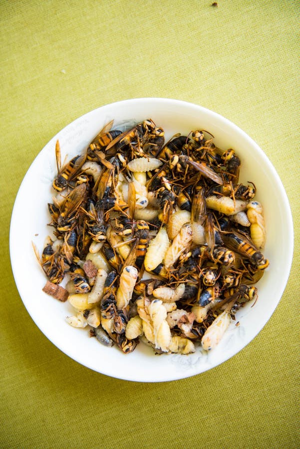 Wasp stock photo. Image of hymenopter, elegant, baby - 60589896