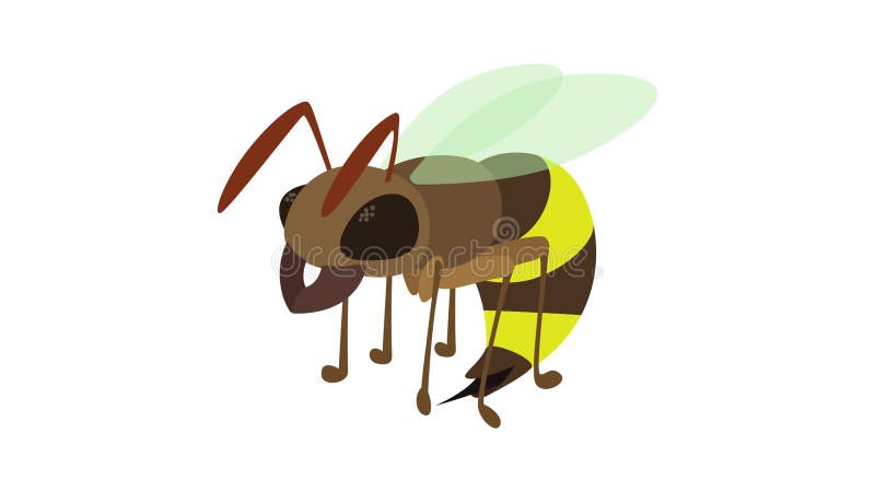 Wasp icon animation stock footage. Video of biology - 239552650