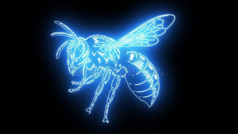 Wasp Icon with a Blue Glowing Neon Effect Stock Footage - Video of ...
