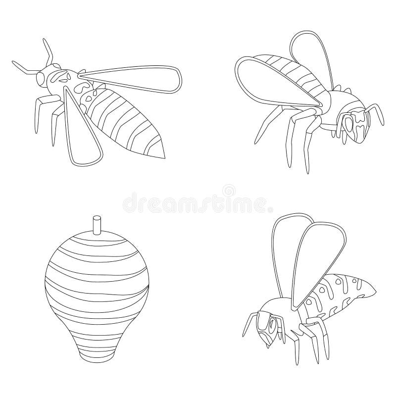 Wasp Icons Set Vector Outline Stock Vector - Illustration of hive, bite ...