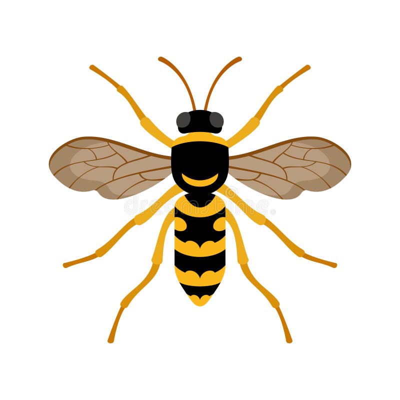 Wasp Insect Isolated on White Background Flat Style Vector Illustration ...