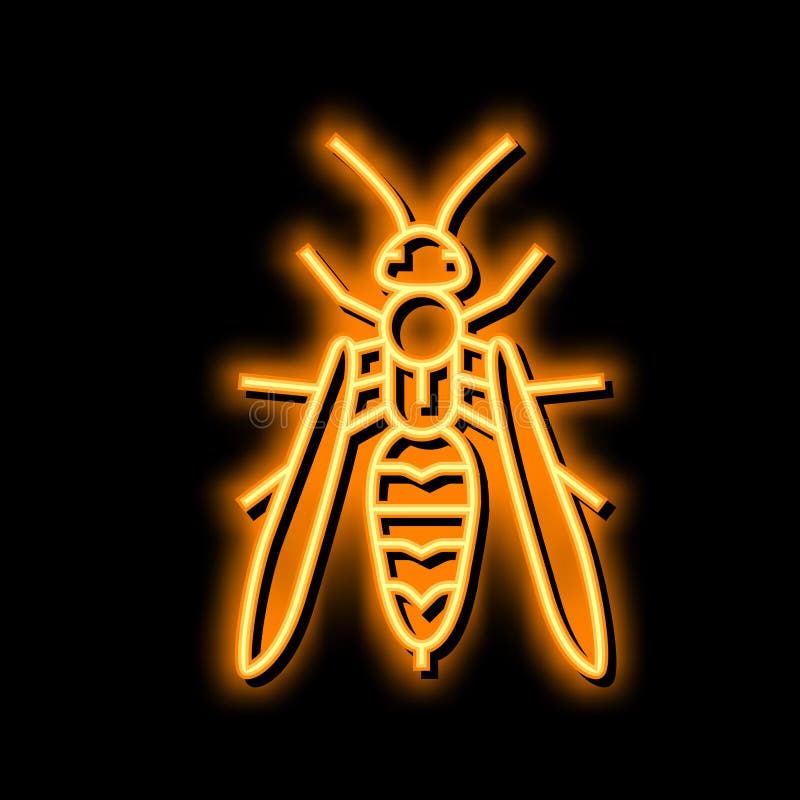 Wasp Insect Neon Glow Icon Illustration Stock Vector - Illustration of ...