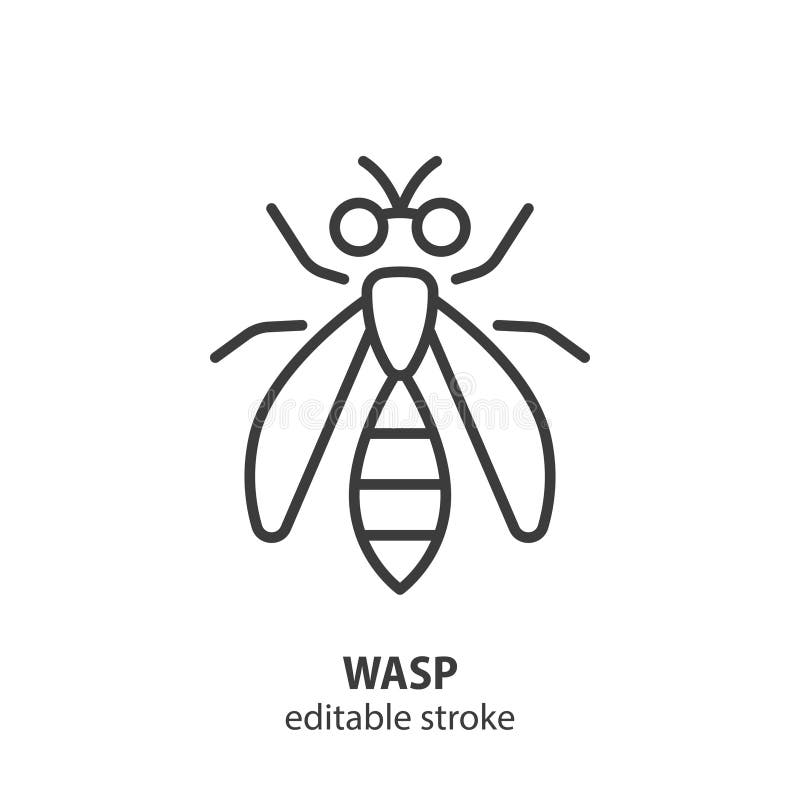 Wasp Line Icon. Insect Vector Illustration Stock Vector - Illustration ...