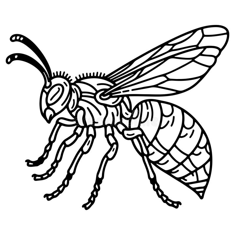 Wasp Moth Bug Simple Outline Vector Illustration Line Art Stock Vector ...