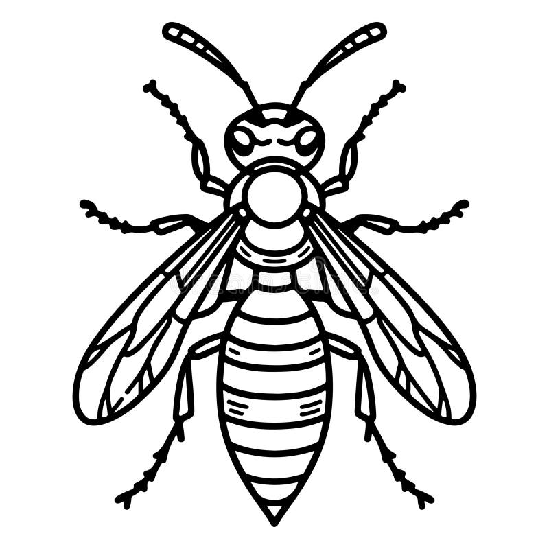 Wasp Moth Bug Simple Outline Vector Illustration Line Art Stock Vector ...