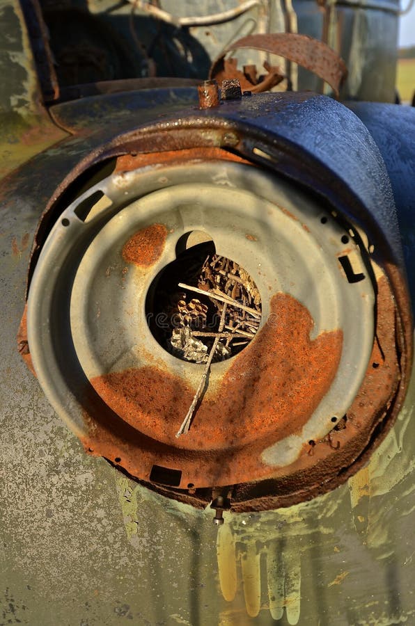 Wasp Nest in Headlight of Old Truck Stock Image - Image of nests ...
