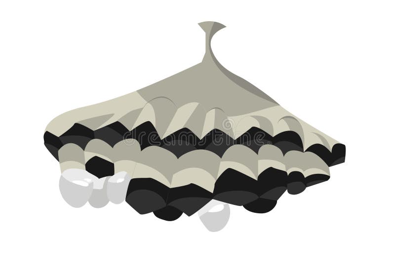 Wasp Nest Vector Isolated Illustration Stock Vector - Illustration of ...