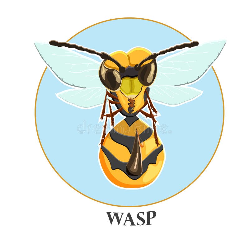 Stickers, Labels & Tags LaminatedAdhesive Sticker Wasp Sticker Paper ...