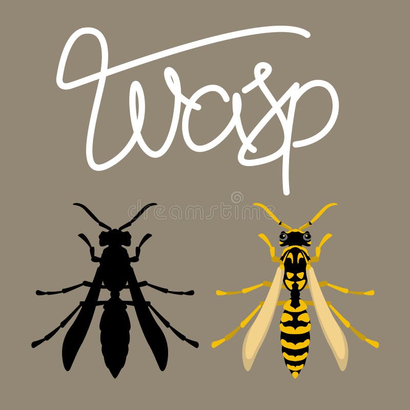 Wasp Vector Outline Icon. Vector Illustration Insect Wasp on White ...