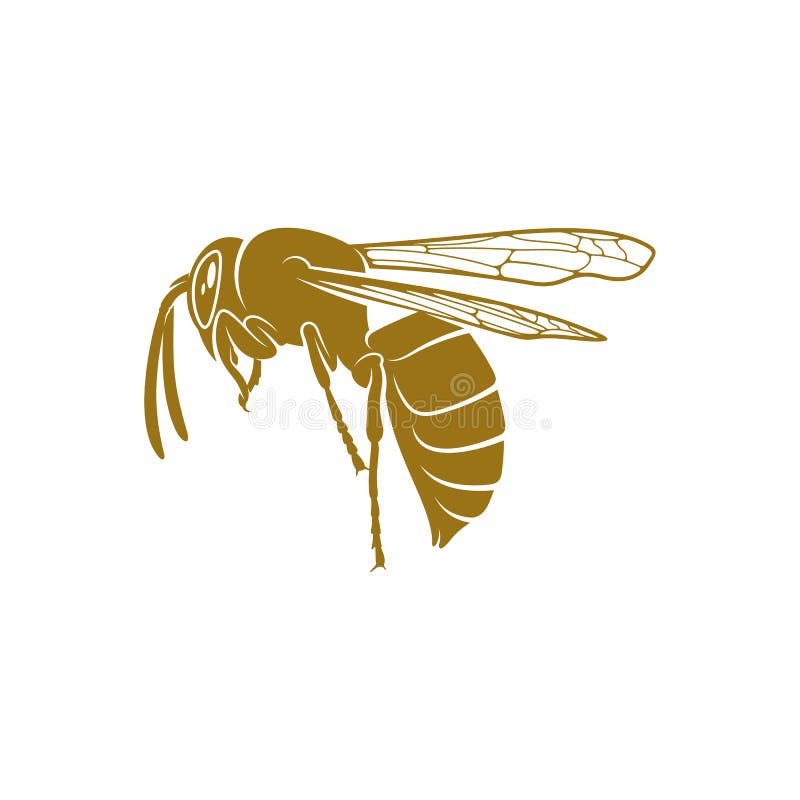Wasp Vector Illustration. Wasp Logo Design Concept Template Stock ...