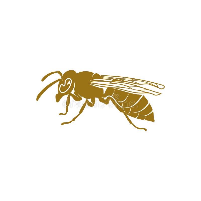 Wasp Vector Illustration. Wasp Logo Design Concept Template Stock ...